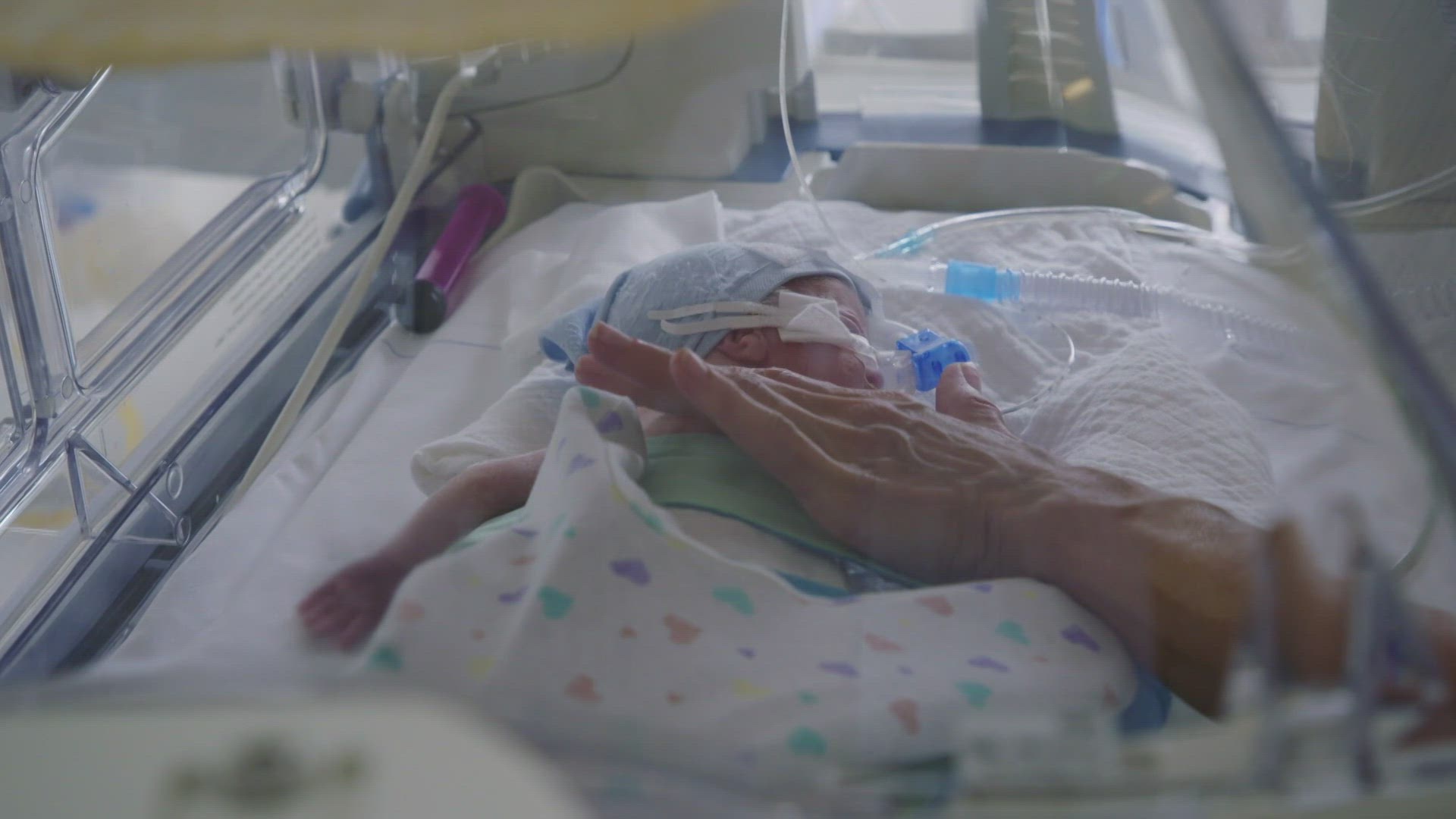 Five Days Inside op Videoland