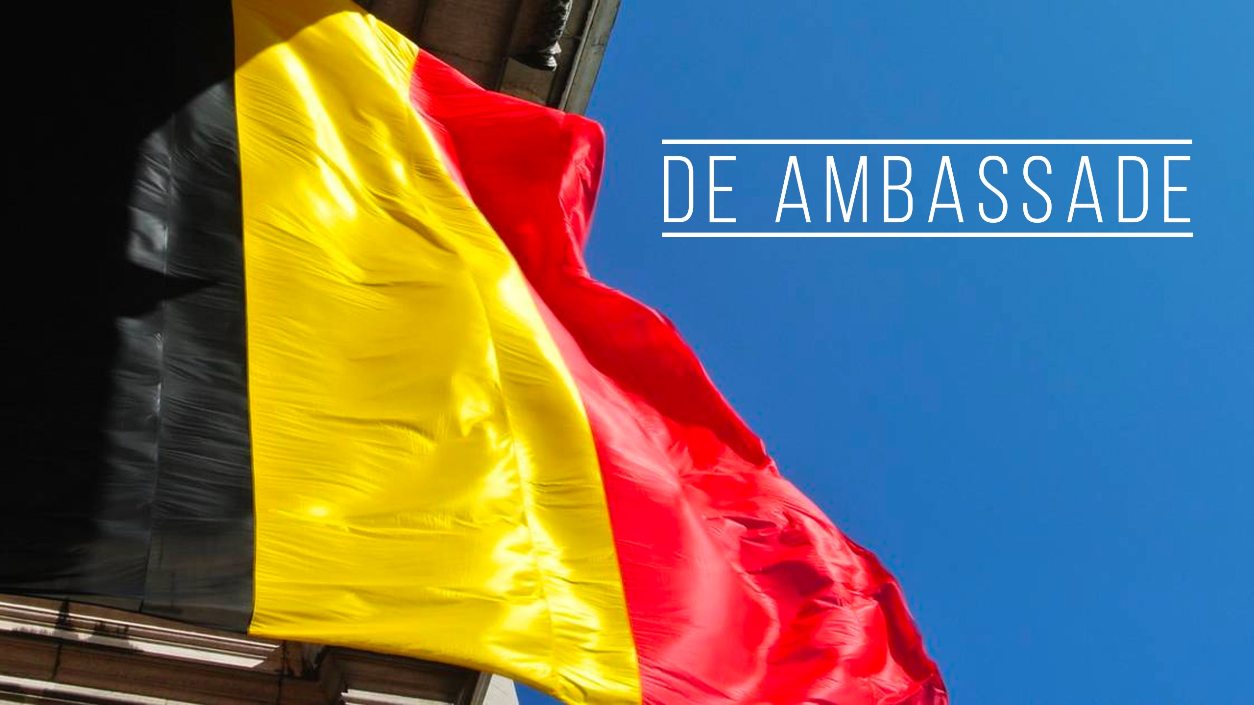 Lijst van programma's - D - 3