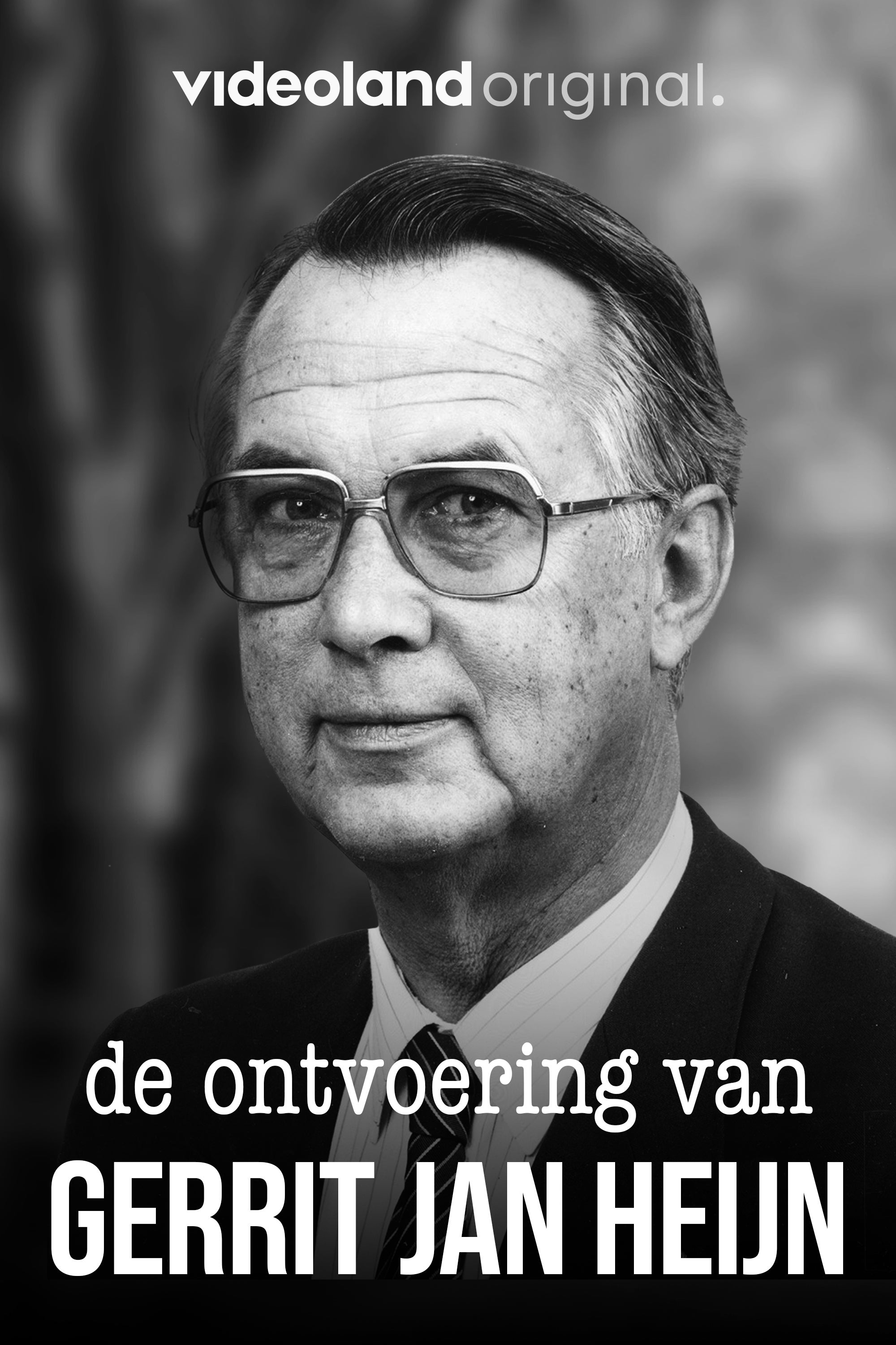 De Ontvoering van Gerrit Jan Heijn op Videoland