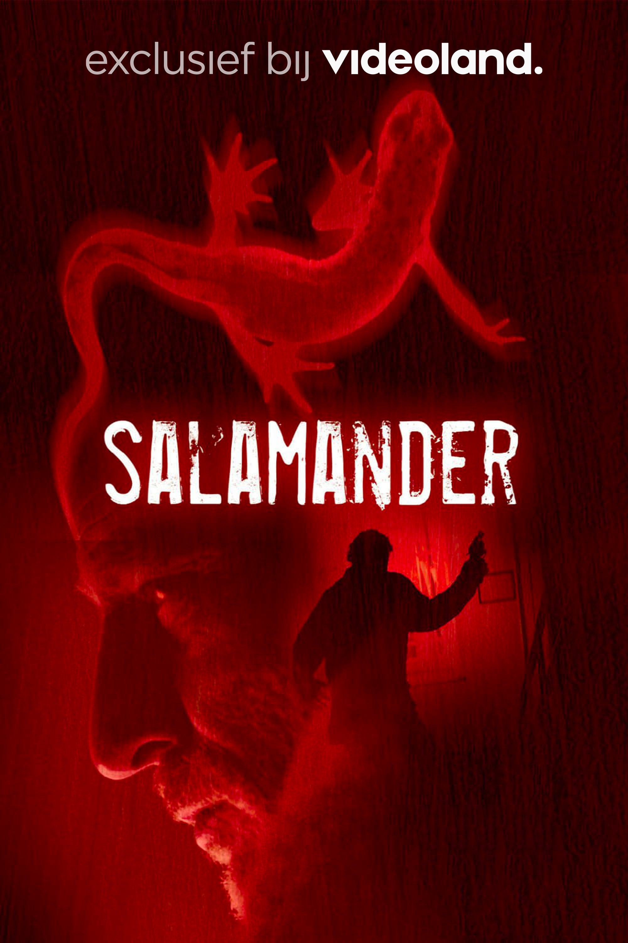 Salamander op Videoland