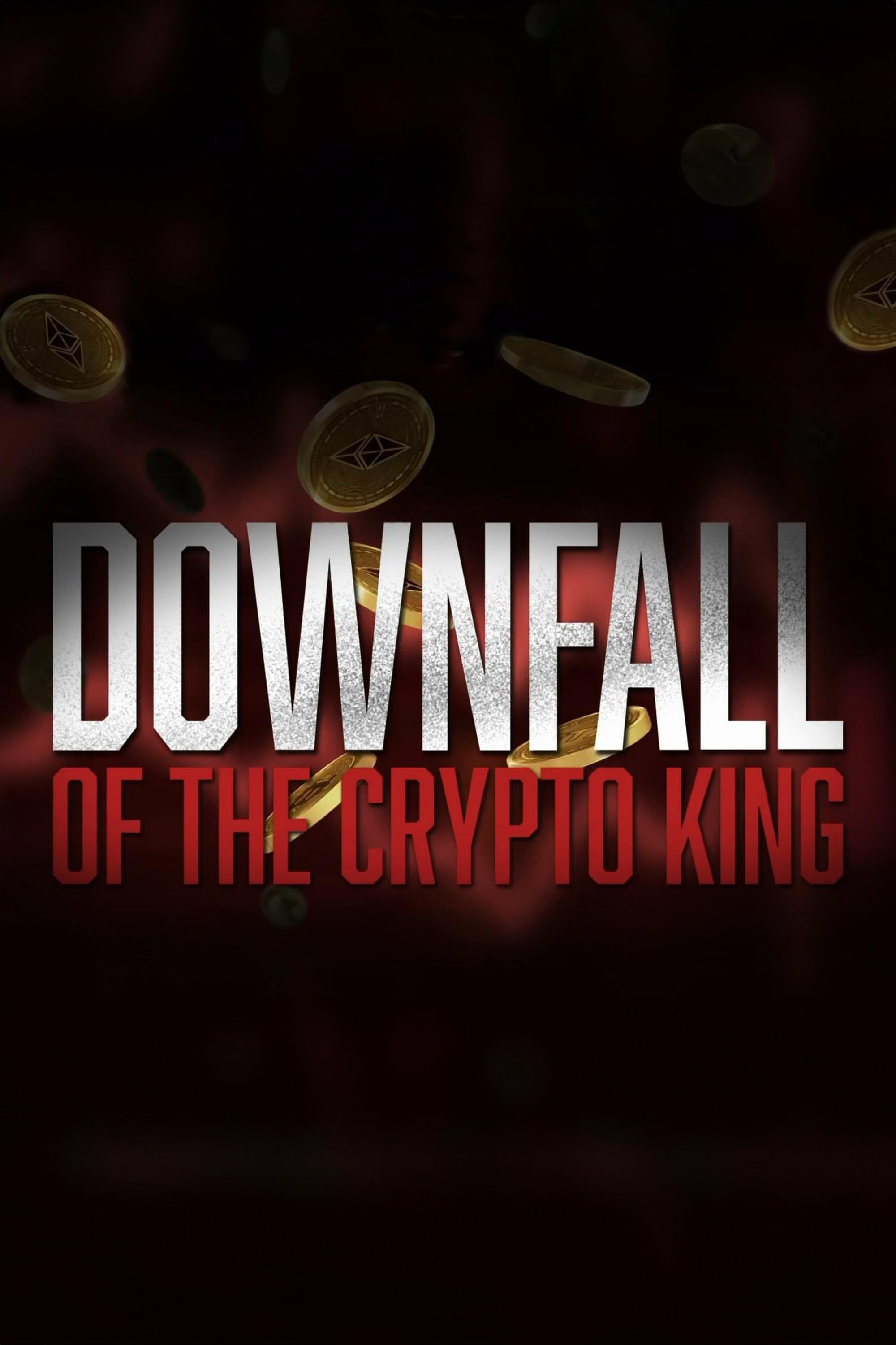 Downfall Of The Crypto King op Videoland
