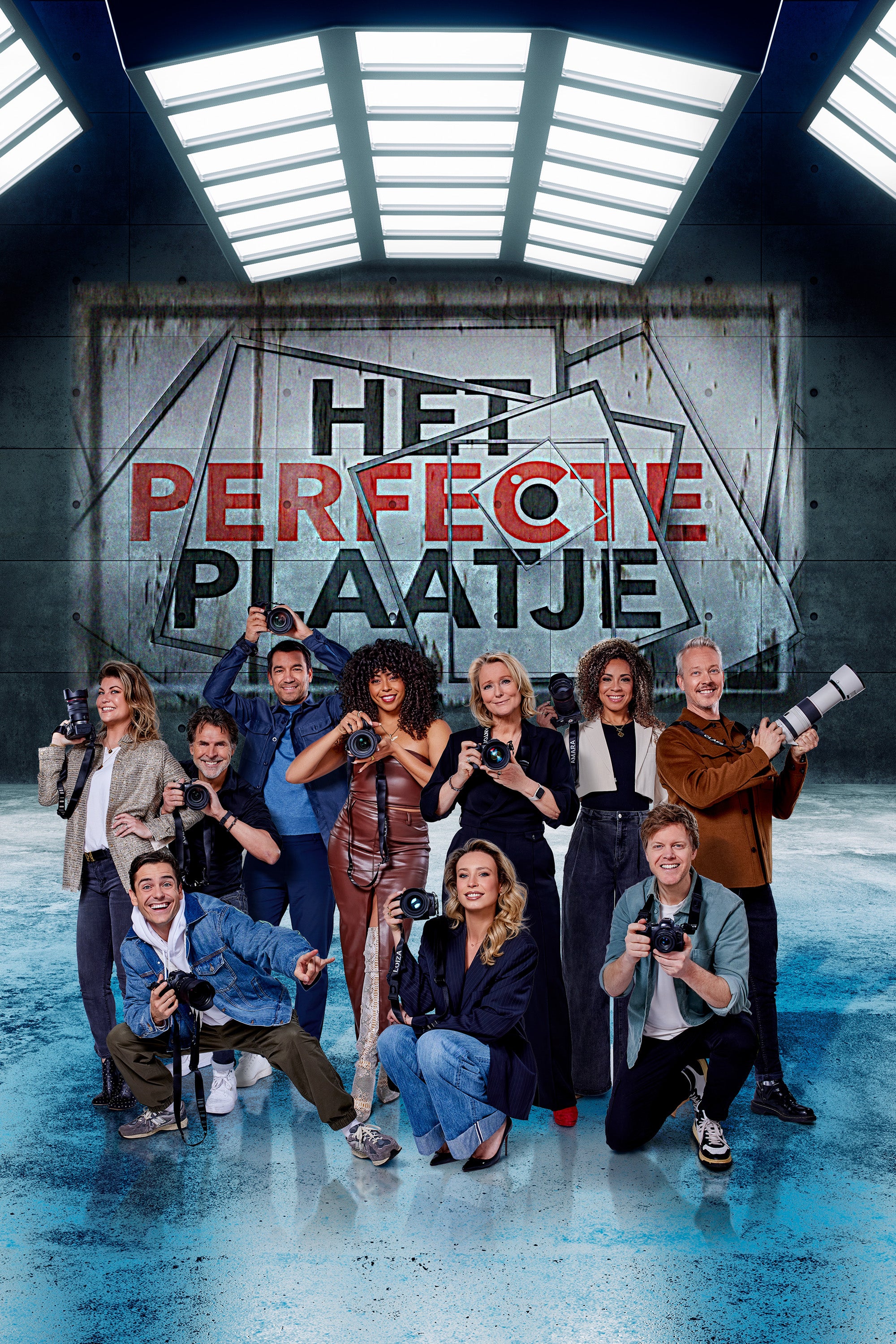 Het Perfecte Plaatje op Videoland