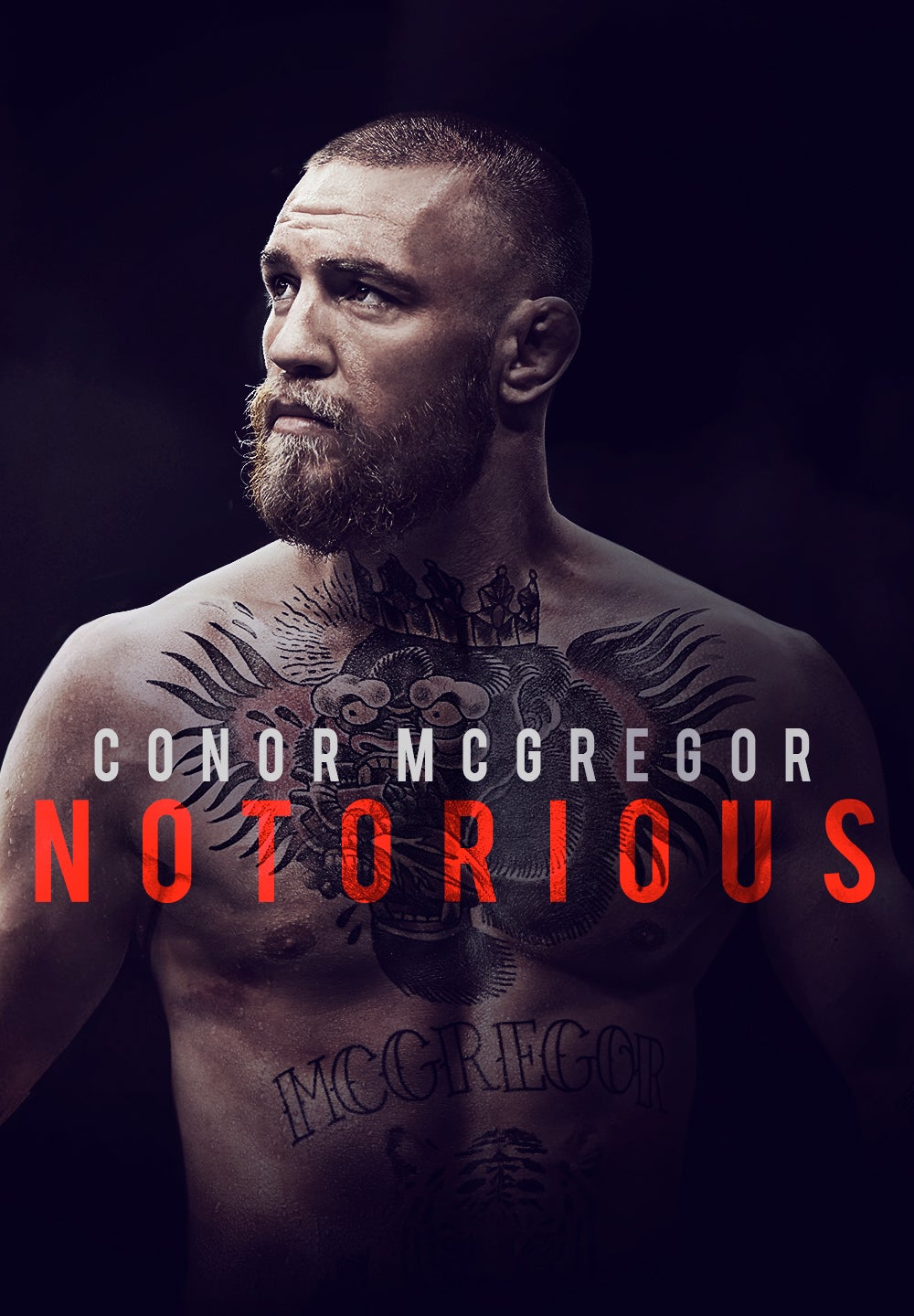 Conor McGregor: Notorious op Videoland
