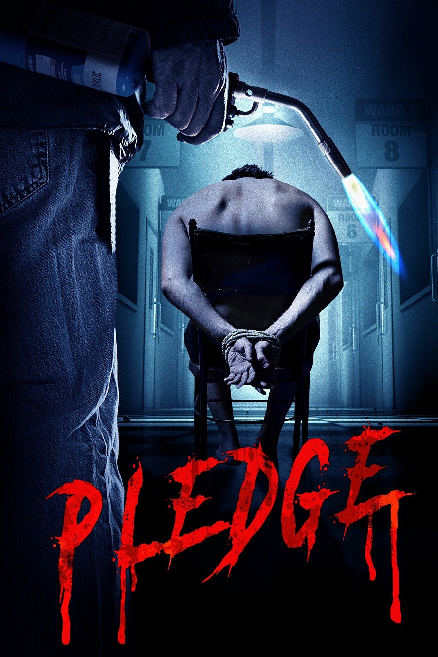 Pledge op Videoland